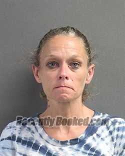 Recent Booking / Mugshot for ANDREA SHAY KING in Volusia County, Florida