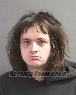 Recent Booking / Mugshot for DYLAN MICHAEL WEBB in Volusia County, Florida