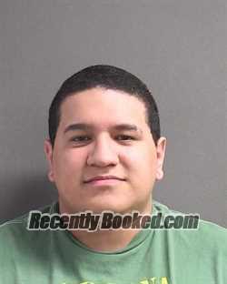 Recent Booking / Mugshot for JONATHAN GILBERTO CARRION in Volusia ...
