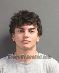 Recent Booking / Mugshot for MADDOXX J CALISI in Volusia County, Florida