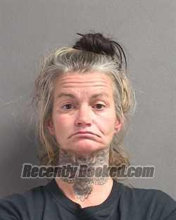 Recent Booking / Mugshot for AMANDA CHRISTINE HENDRICKSEN in Volusia ...