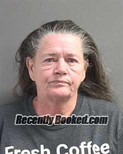 Recent Booking / Mugshot for TERESA ANN DELLINGER in Volusia County ...