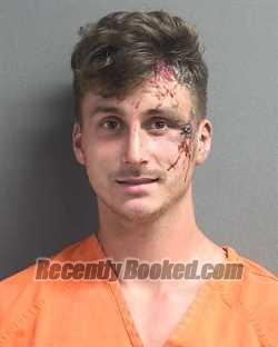 Recent Booking / Mugshot for PHOENIX JAMES STARR in Volusia County, Florida