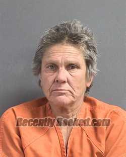 Recent Booking / Mugshot for JENNIFER JILL JOHNSON in Volusia County ...