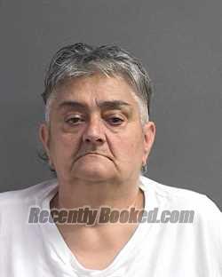 Recent Booking / Mugshot for DIANE MARIE CHRISTIAN in Volusia County ...