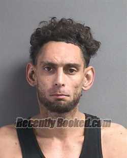 Recent Booking / Mugshot for GIOVANNI R BUBENIK in Volusia County, Florida