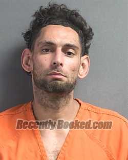 Recent Booking / Mugshot for GIOVANNI RAFAEL BUBENIK in Volusia County ...