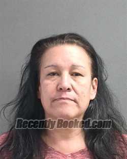Recent Booking / Mugshot for SUSAN A RAMEY in Volusia County, Florida