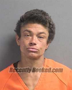 Recent Booking / Mugshot for MELISSA S GONZALEZ in Volusia County, Florida