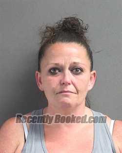 Recent Booking / Mugshot for SHARI D COLLINS in Volusia County, Florida