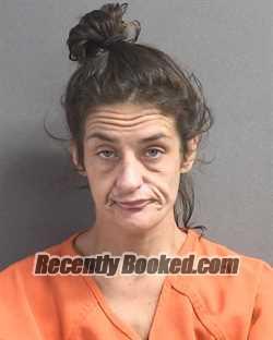 Recent Booking / Mugshot for BRANDY MICHELLE BEENE in Volusia County ...