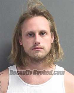 Recent Booking / Mugshot for AUSTIN M HAMILTON in Volusia County, Florida