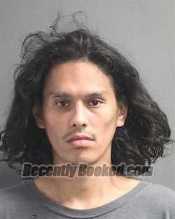 Recent Booking / Mugshot for ROBYNE L MCKEITHAN in Volusia County, Florida