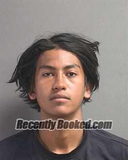 Recent Booking / Mugshot for KEVIN NOEL BARDALES-ULLOA in Volusia ...