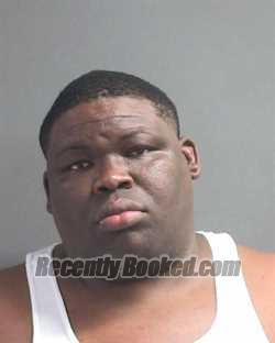 ROAN NEON REID Arrest Record & Booking Info – Volusia County, Florida ...