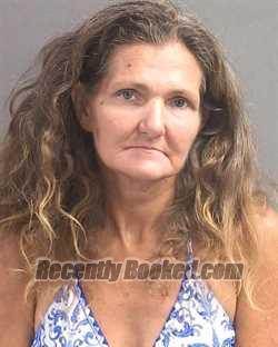 Recent Booking / Mugshot for LISA ALLEY in Volusia County, Florida