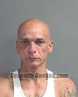 Recent Booking / Mugshot for ALEXIS OCASIO ORTIZ in Volusia County, Florida