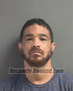 Recent Booking / Mugshot for BRANDON KYLE COOK in Volusia County, Florida