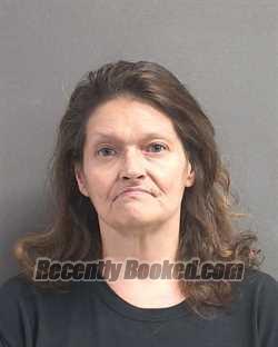 Recent Booking / Mugshot for STEPHANIE JAMISON JOHNSON-SORACI in ...