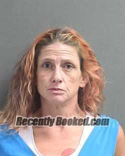 Recent Booking / Mugshot for JENNIFER LOUISE ROMAN in Volusia County ...