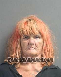 Recent Booking / Mugshot for PATRICIA SUE COOK in Volusia County, Florida