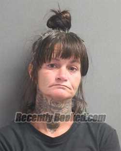 Recent Booking / Mugshot for AMANDA CHRISTINE HENDRICKSEN in Volusia ...
