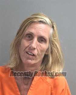 Recent Booking / Mugshot for SHANNON D CALLAGHAN in Volusia County, Florida