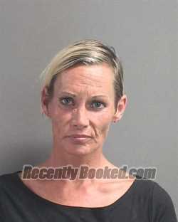 Recent Booking / Mugshot for HEATHER NICHOLE ROBISON in Volusia County ...