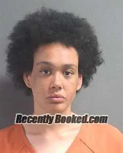 OLIVIA JEANNE CONNOLLY Arrest Record & Booking Info – Volusia County ...