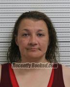 Recent Booking / Mugshot for ERICA DAWN MATHES in Ross County, Ohio
