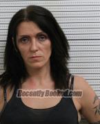 Recent Booking / Mugshot for AMY LYNN HOLDERMAN in Ross County, Ohio