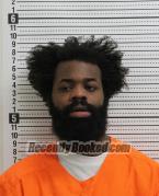 Recent Booking / Mugshot for KENNETH M MCGINNIS in Ross County, Ohio