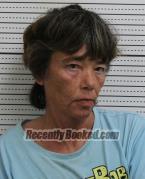 Recent Booking / Mugshot for LISA J HARRIS in Ross County, Ohio