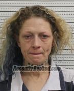 Recent Booking / Mugshot for HOLLY LEA DAVIDSON in Ross County, Ohio