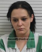 Recent Booking / Mugshot for SAMANTHA S VANDERGRIFF in Ross County, Ohio