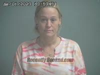 Recent Booking / Mugshot for Ashley L Renfro in Sandusky County, Ohio