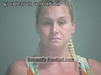 Recent Booking / Mugshot for Crystal Hardy in Sandusky County, Ohio