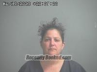 Recent Booking / Mugshot for Elizabeth Erin Shinners in Sandusky County ...