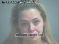 Recent Booking / Mugshot for Ashley Nicole Williams in Sandusky County ...