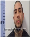 Recent Booking / Mugshot for Michael Delarosa in Seneca County, Ohio