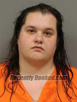 Recent Booking / Mugshot for MEGAN ELIZABETH BURCHETT in Shelby County ...