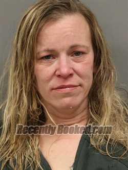 Recent Booking / Mugshot for AMANDA CHASTINE SNELL in Shelby County, Ohio