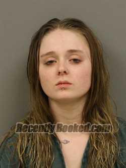 Recent Booking / Mugshot for TAYLOR NICOLE SCHROER in Shelby County, Ohio