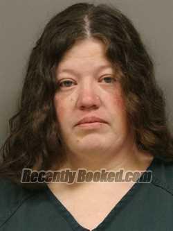 Recent Booking / Mugshot for HOLLIE ANN CHESLEY in Shelby County, Ohio