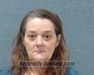 Recent Booking / Mugshot for ERIN MICHELLE LIVENGOOD in Stark County, Ohio