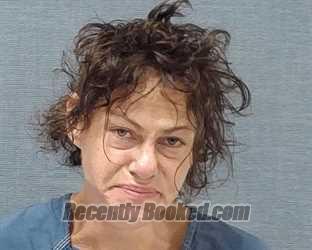 Recent Booking / Mugshot for AMY JEAN BEATTY in Stark County, Ohio