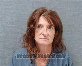 Recent Booking / Mugshot for DANYA KAYE WILSON in Stark County, Ohio