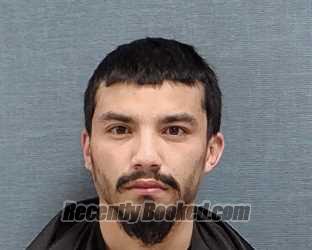 Recent Booking / Mugshot for CHRISTIAN RUBEN DIAZ-SAUCEDA in Stark ...
