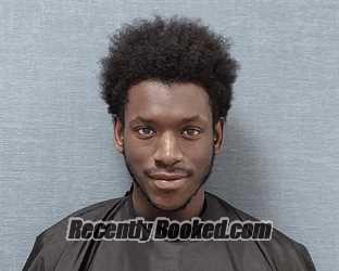 Recent Booking / Mugshot for CHRISTIAN ALEXANDER HUGGINS in Stark ...