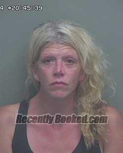 Recent Booking / Mugshot for AMBER MARIE SCHMIDT in Wakulla County, Florida